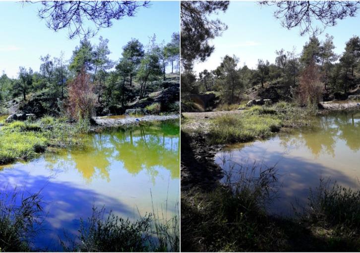 topio - City Of Larnaka