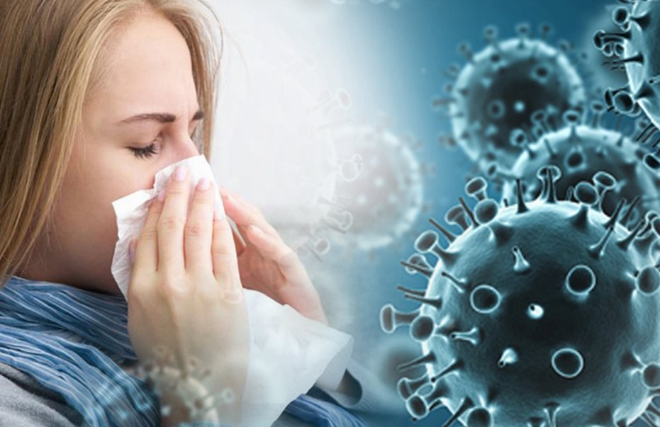 gripi - City Of Larnaka