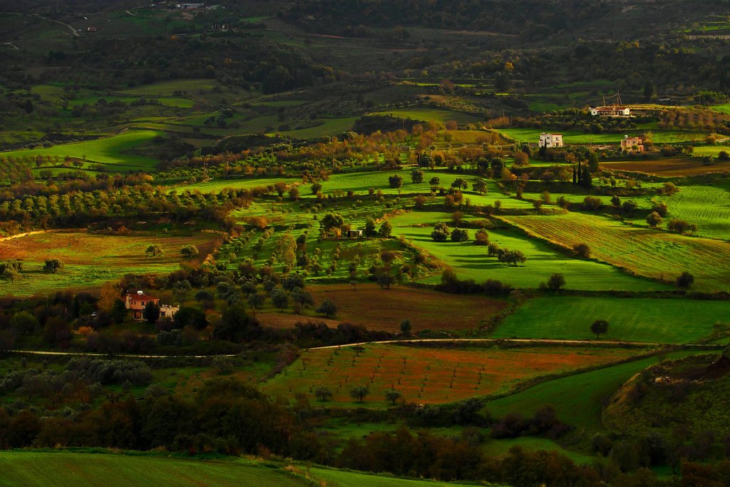 Καταπράσινα κυπριακά τοπία [18 φωτογραφίες σαν πίνακες ζωγραφικής ...