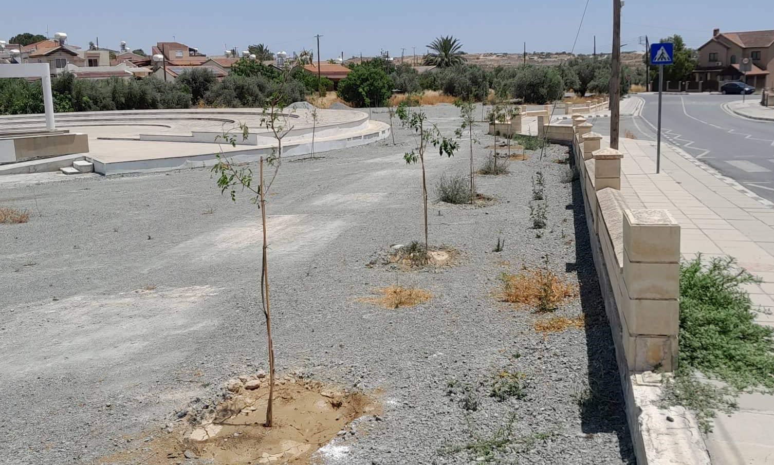 Δεντροφύτευση στο Αμφιθέατρο του Κοινοτικού Συμβουλίου Καλού Χωριού ...