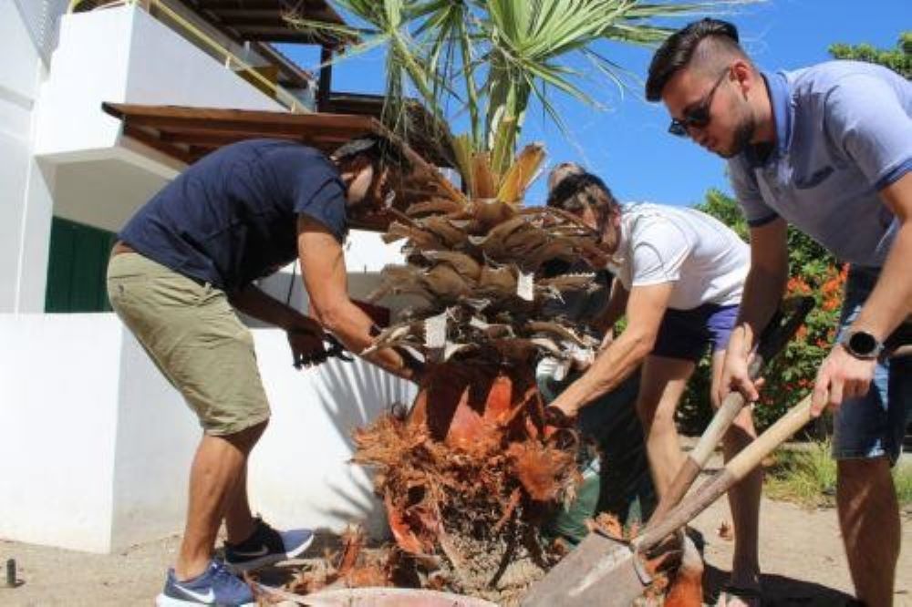 Με τη συμμετοχή 40 νέων πραγματοποιήθηκε εκστρατεία καθαριότητας στη ...