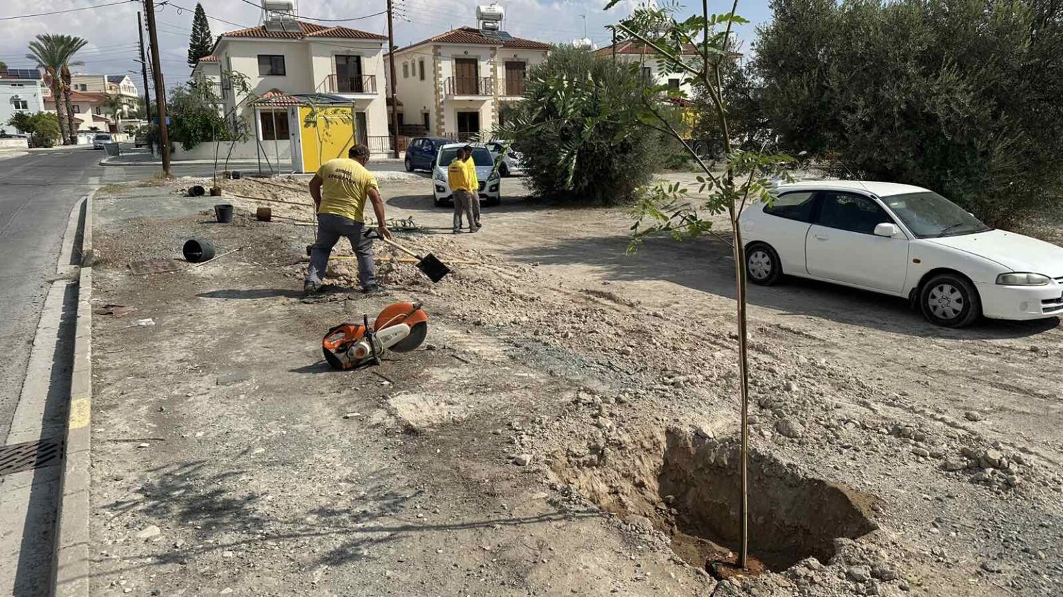 Δήμος Αραδίππου: Ολοκλήρωση δεντροφύτευσης - City Of Larnaka